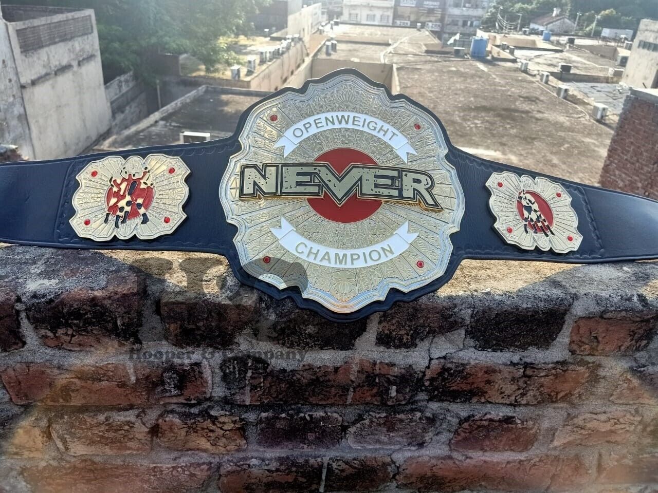 IWGP Never Open Weight Championship Title Belt
